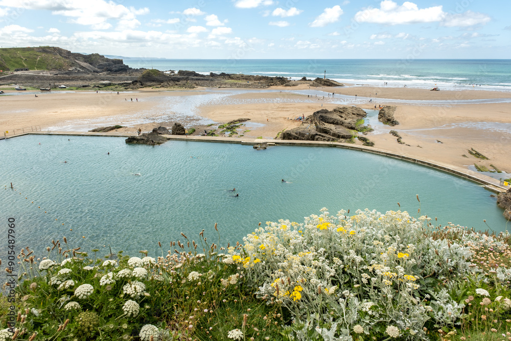 Bude Sea Pool is a semi-natural tidal pool and is a safe haven for wild ...