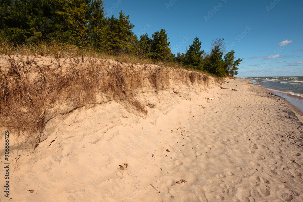 The sand dunes eroding from the periodic large waves of Lake Michigan ...