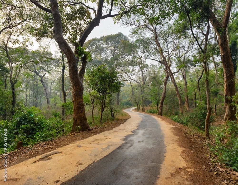 Unexplored path / Road less taken at Nagarhole national park, Karnataka ...