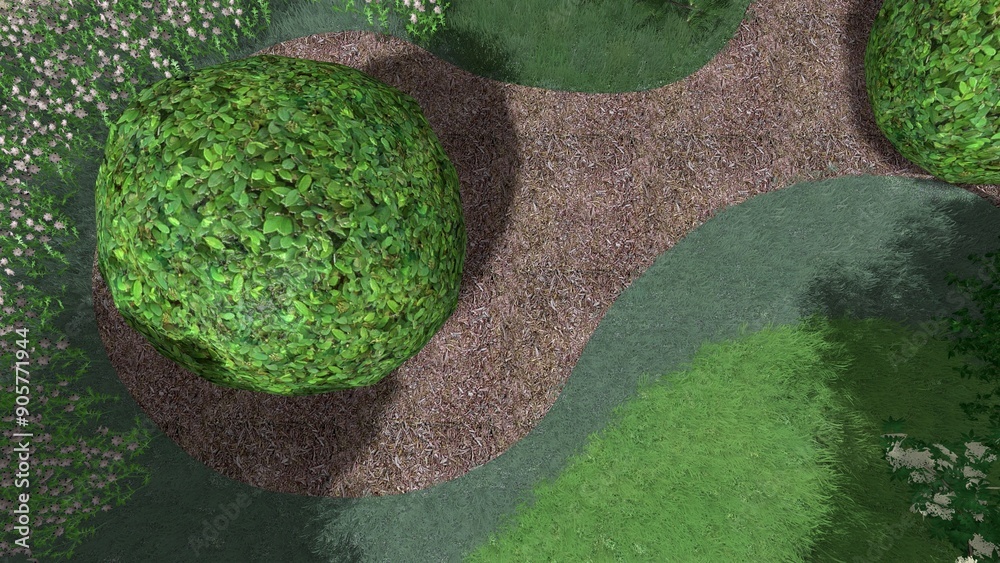 3d image of the landscape design of the home territory. Landscaping of ...