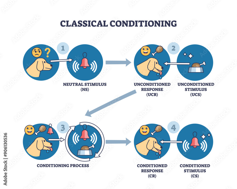 Photo Classical conditioning and Pavlov behavior stimulus research outline diagram, VectorMine ...