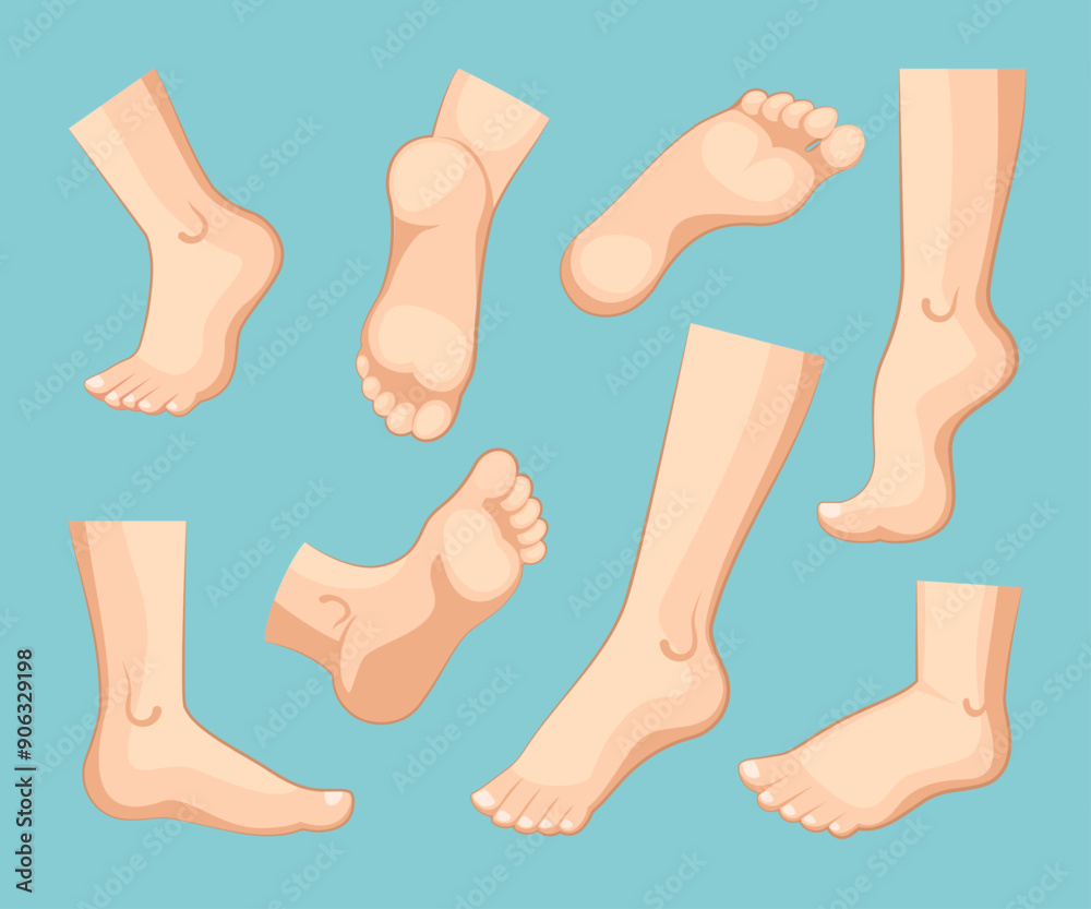 human feet set. man and woman feet in different poses views, podiatry ...