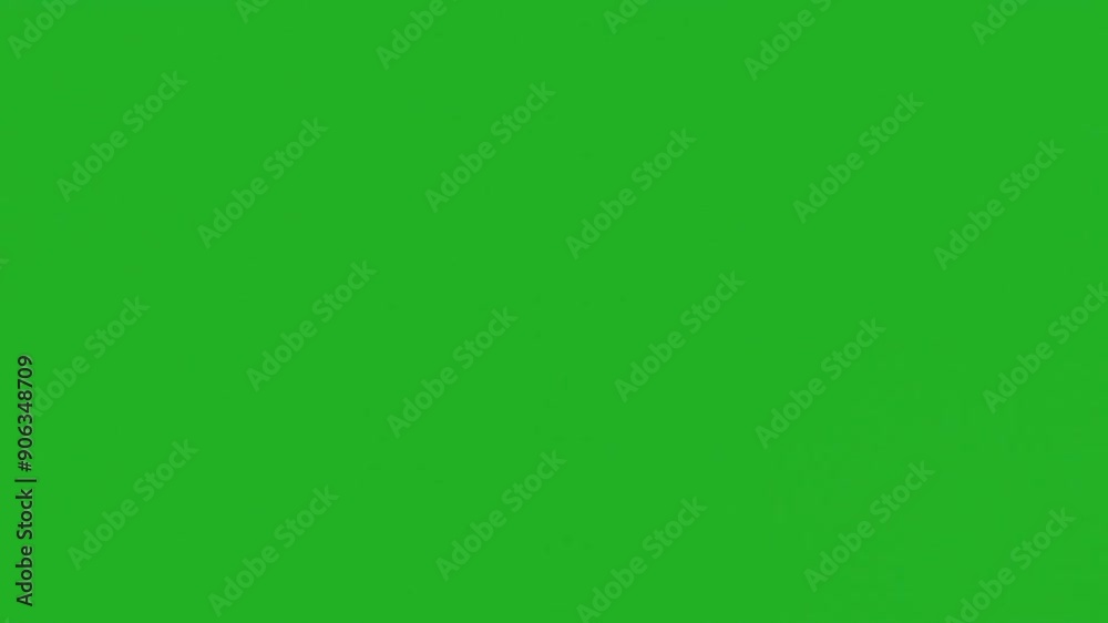 Old VHS Glitches and Static Noise on the Black Background. Green Screen ...