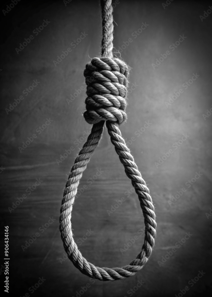 noose on a rope, knot, isolated, suicide, loop, execution, white ... noose on a rope, knot, isolated, suicide, loop, execution, white ...