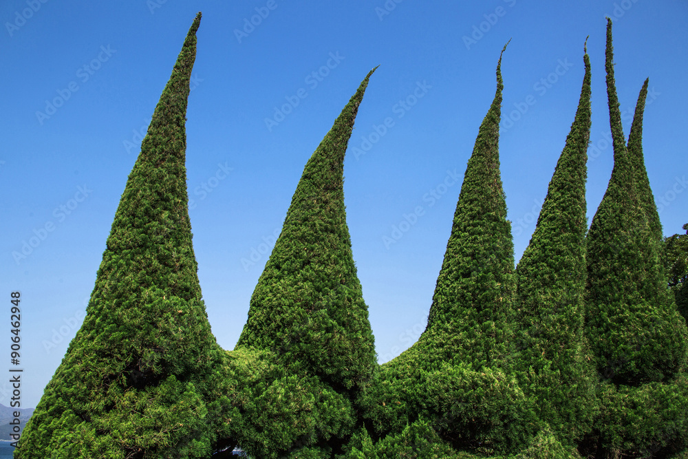 Oedo Island, Wahyeon-ri, Geoje-si, Gyeongsangnam-do, South Korea ...