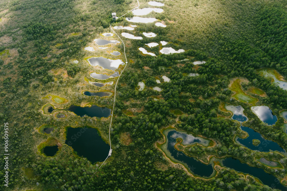 Viru Bog, one of the most famous bogs located in Lahemaa National Park ...