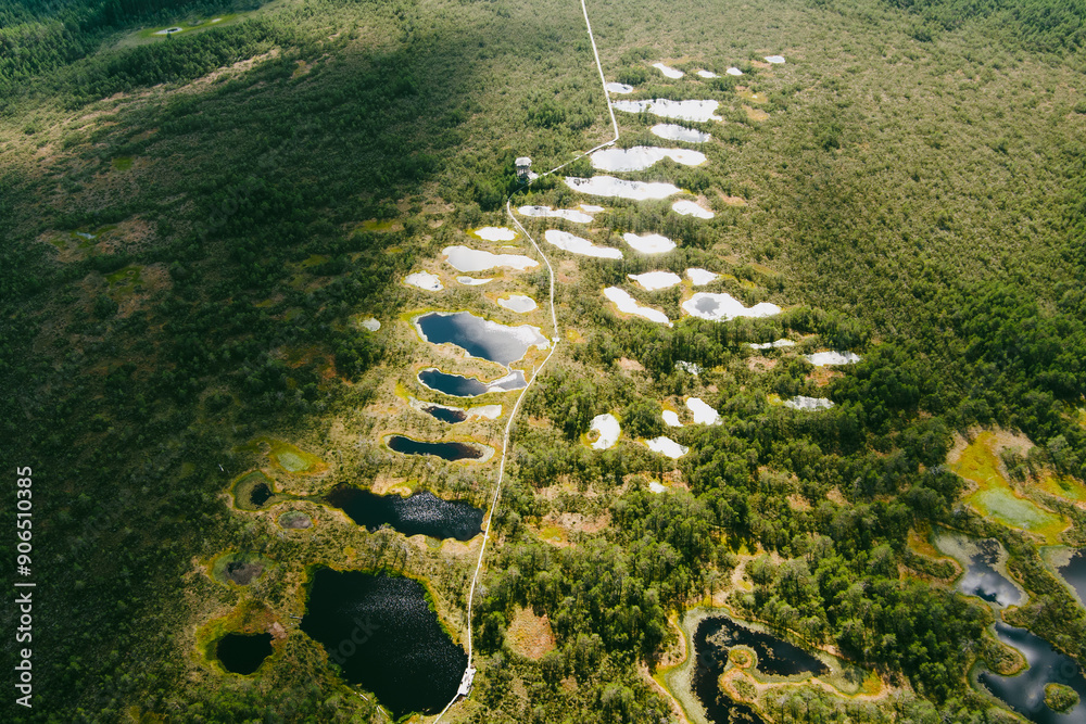 Viru Bog, one of the most famous bogs located in Lahemaa National Park ...
