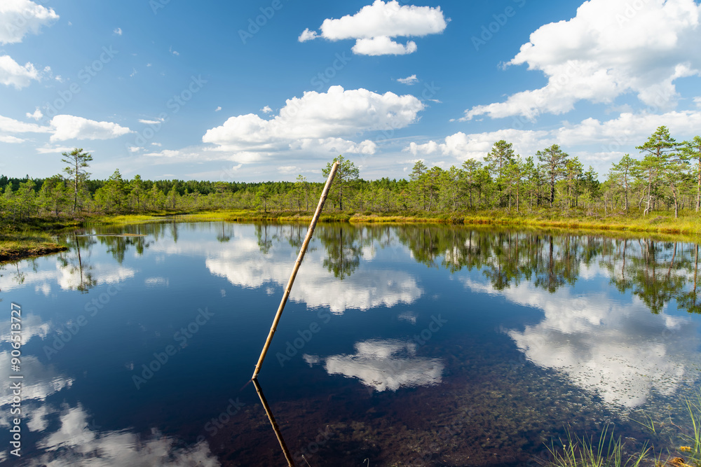 Viru Bog, one of the most famous bogs located in Lahemaa National Park ...