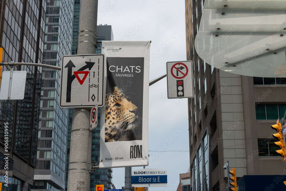 various signs at Yonge Street and Bloor Street (Royal Ontario Museum ...