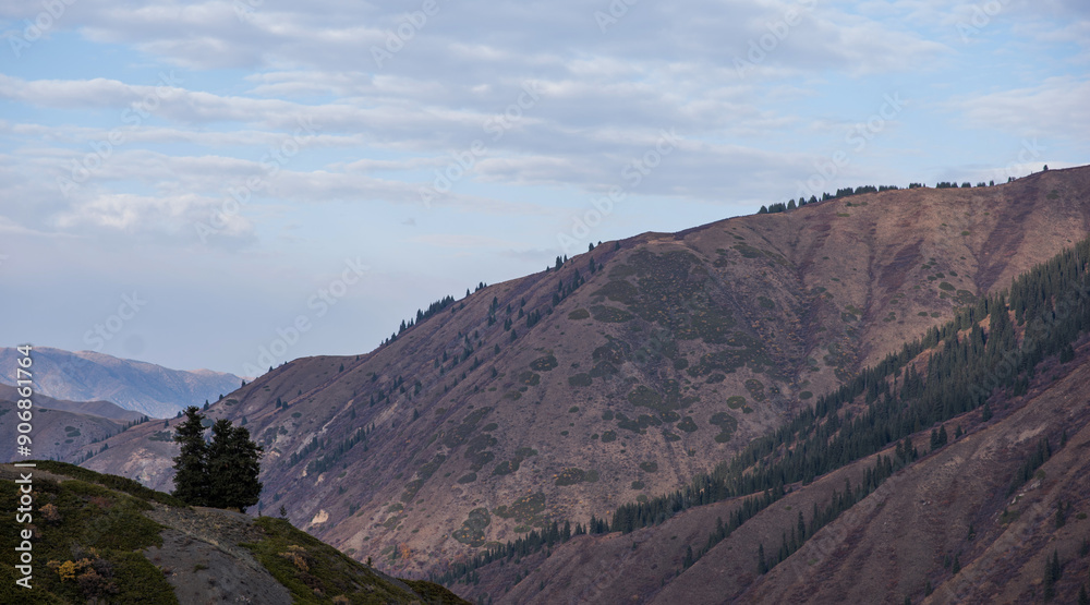 sweeping view of mountain ridges with sparse tree cover, the undulating ...