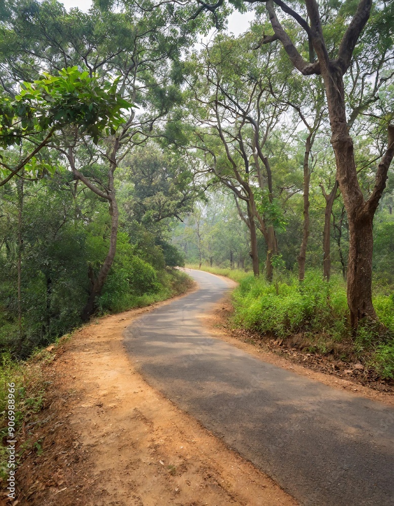 Unexplored path / Road less taken at Nagarhole national park, Karnataka ...