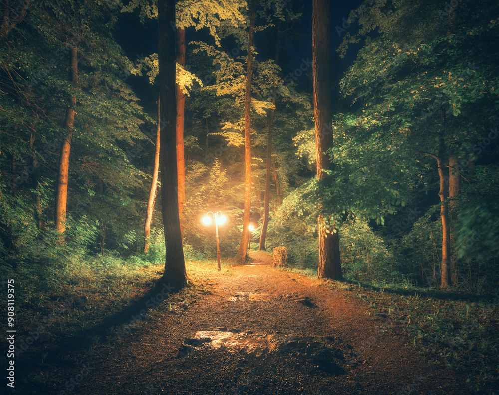Forest path at night in the fog, illuminated by a street lamp in summer ...