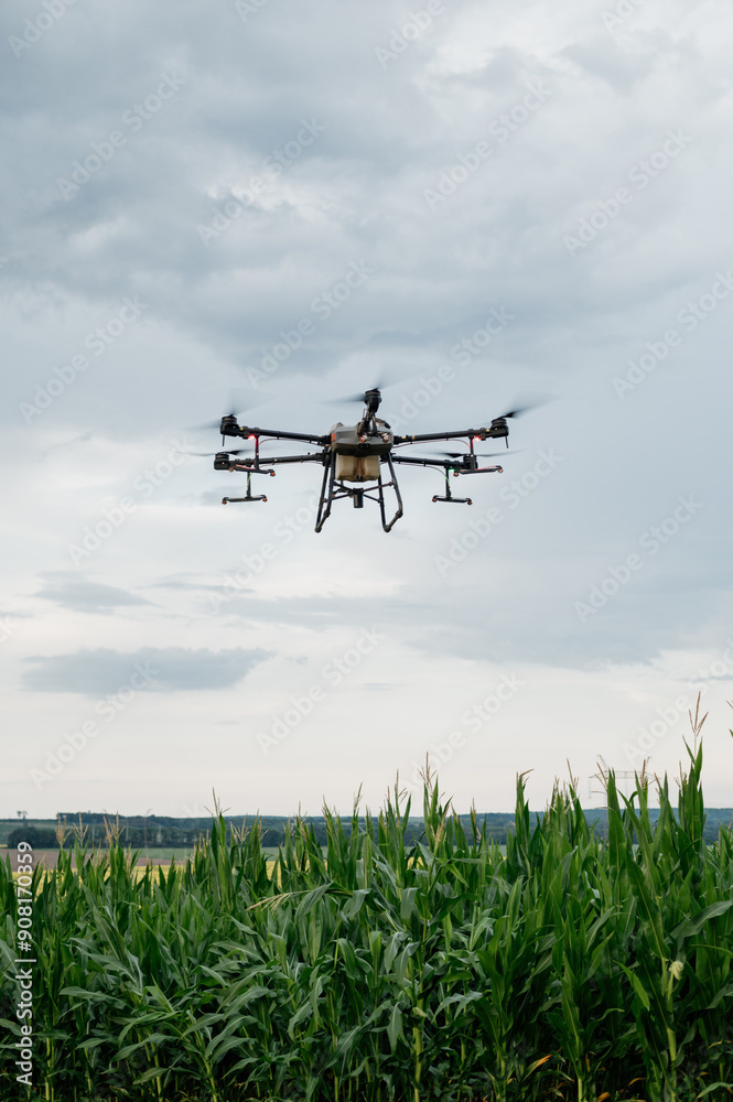 Agrodrone sprayer sprays sunflower fields, precision farming, the ...