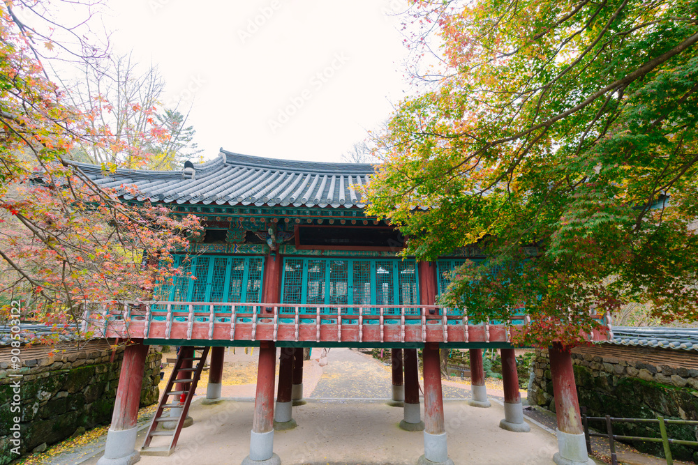 beautifully captures autumn at Naejangsan, Korea, where traditional ...
