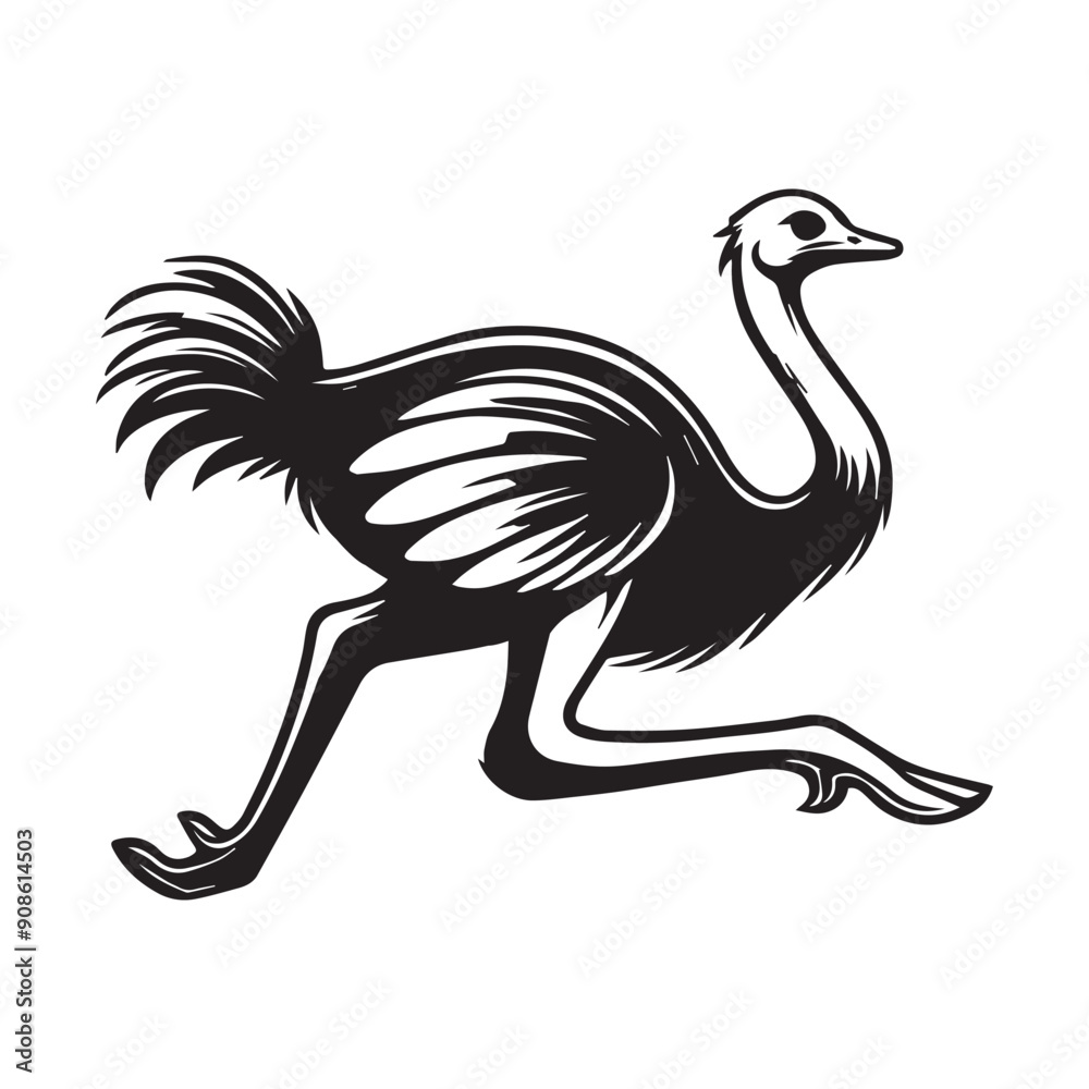 Ostrich Clipart, Struthio Bird Outline Design, Common ostrich ...