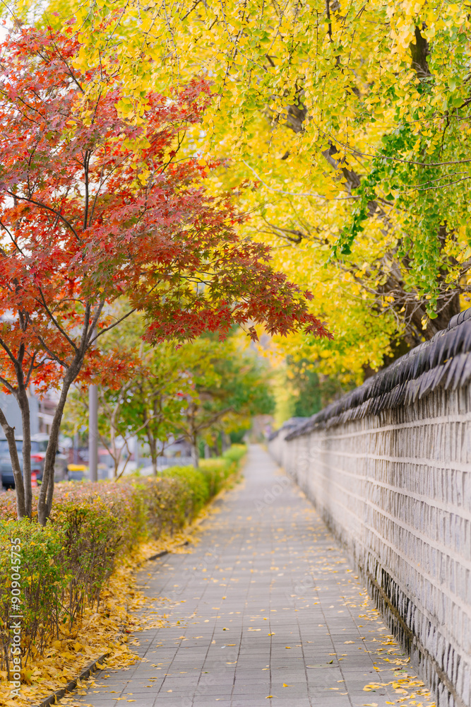 A peaceful walkway in Jeonju Hanok Village, adorned with a traditional ...