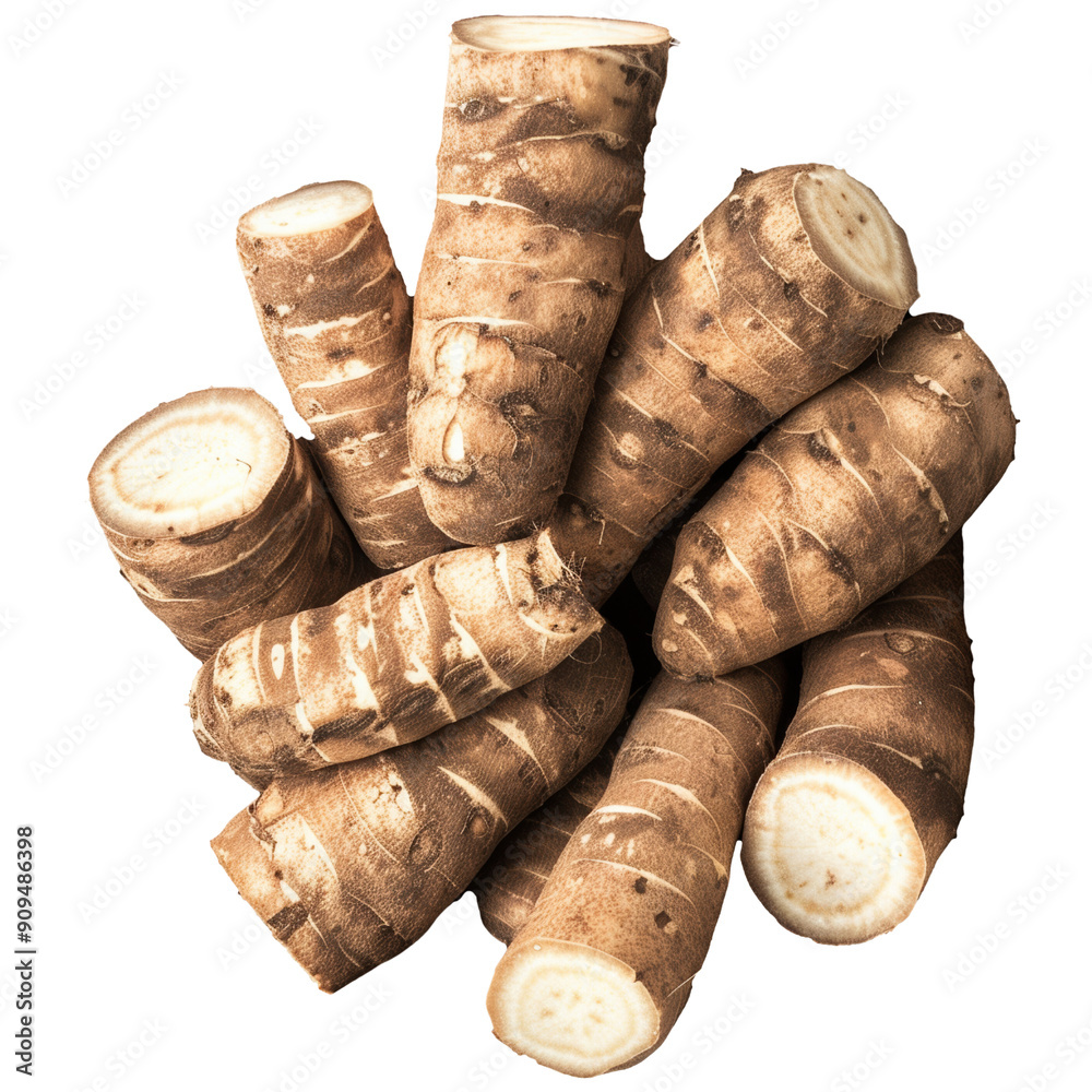 Arrowroot Plant Isolated on Transparent Background - Clear and Detailed ...