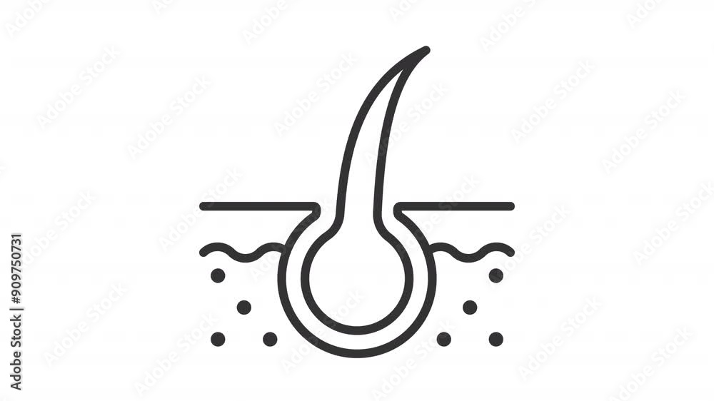 Split hair ends line animation. Skincare animated icon. Follicle root ...