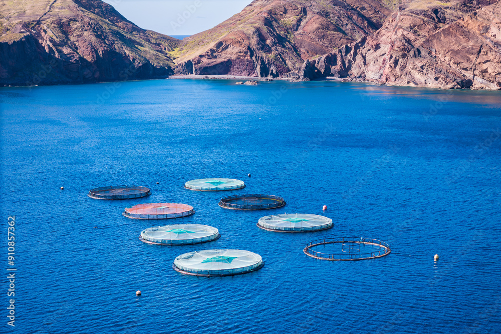 Aquaculture fish farm, fish growing cages in Atlantic ocean with rocky ...