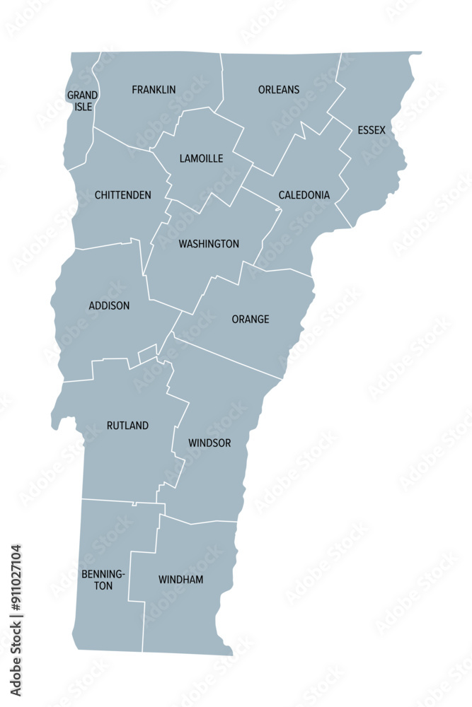 Vermont, U.S. state, subdivided into 14 counties, gray political map ...