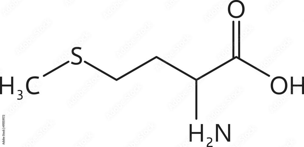 Vetor de Methionine amino acid chemical molecule, essential chain ...