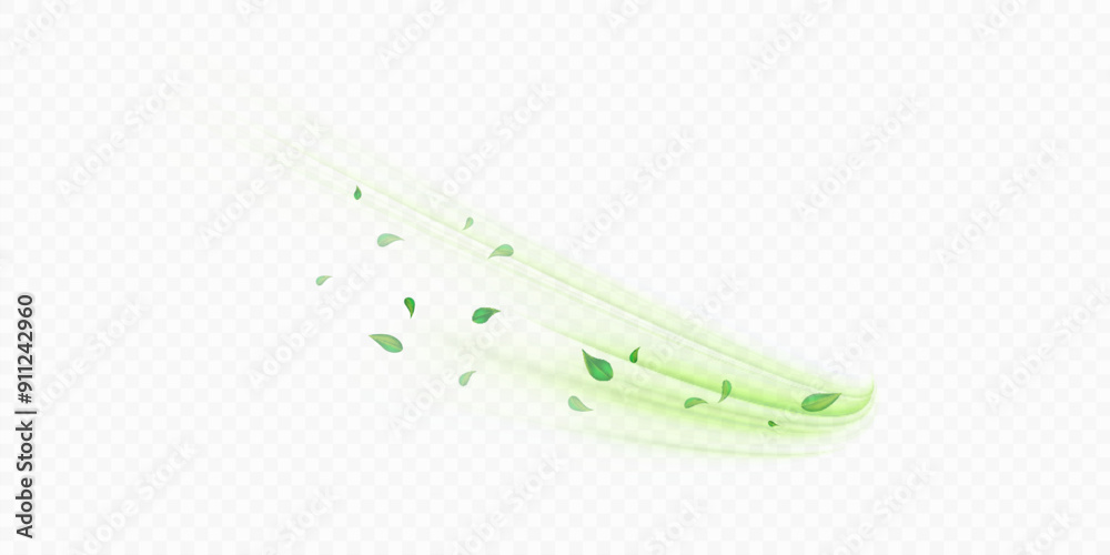 Green air swirl effect with flying mint leaves isolated on white ...