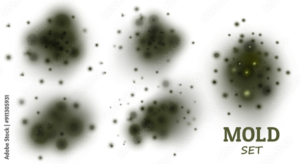 Set Black mold. Fungus, the wall of an apartment, a house, poisonous ...