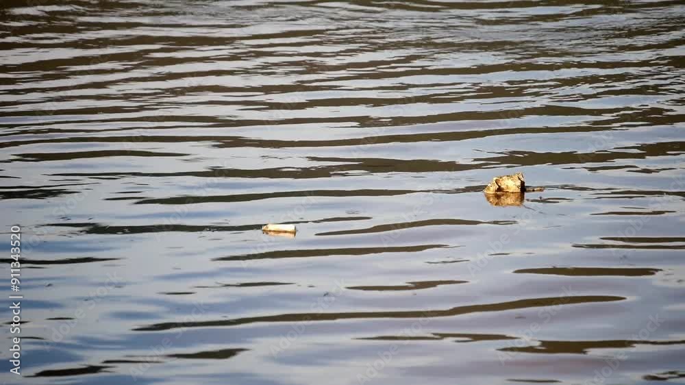 Garbage floating in the river, Throw garbage and waste into the river ...
