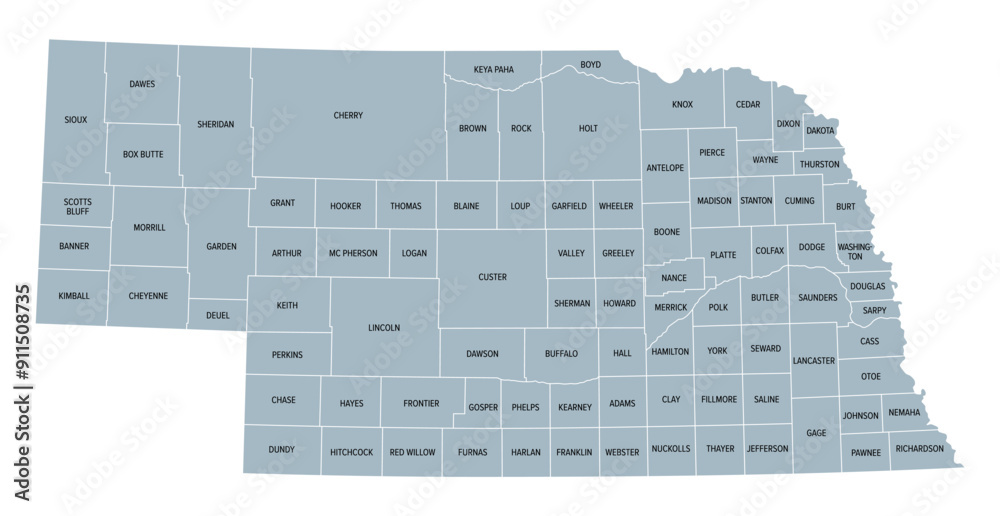 Nebraska, U.S. state, subdivided into 93 counties, gray political map ...
