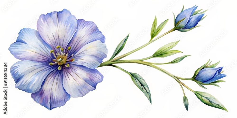 Watercolor Illustration of a Blue Flax Flower with Green Stems and ...