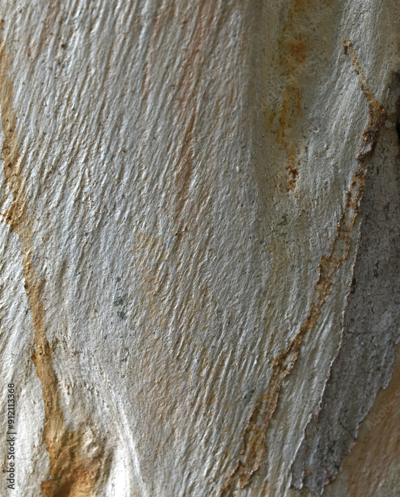Eucalyptus tree bark texture, Bark of eucalyptus tree, seamless texture ...