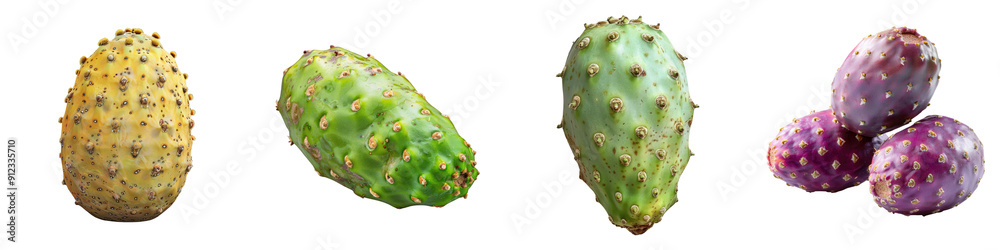Xoconostle (sour prickly pear) isolated on a transparent background ...