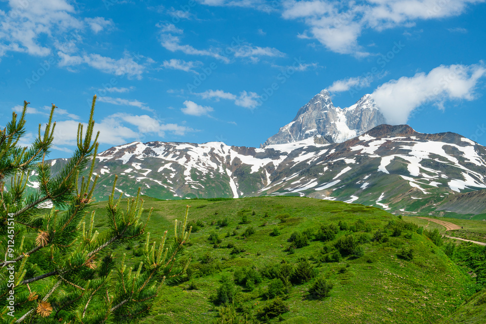 Magnificent mountains to trek in Mestia. Blooming mountain views in ...