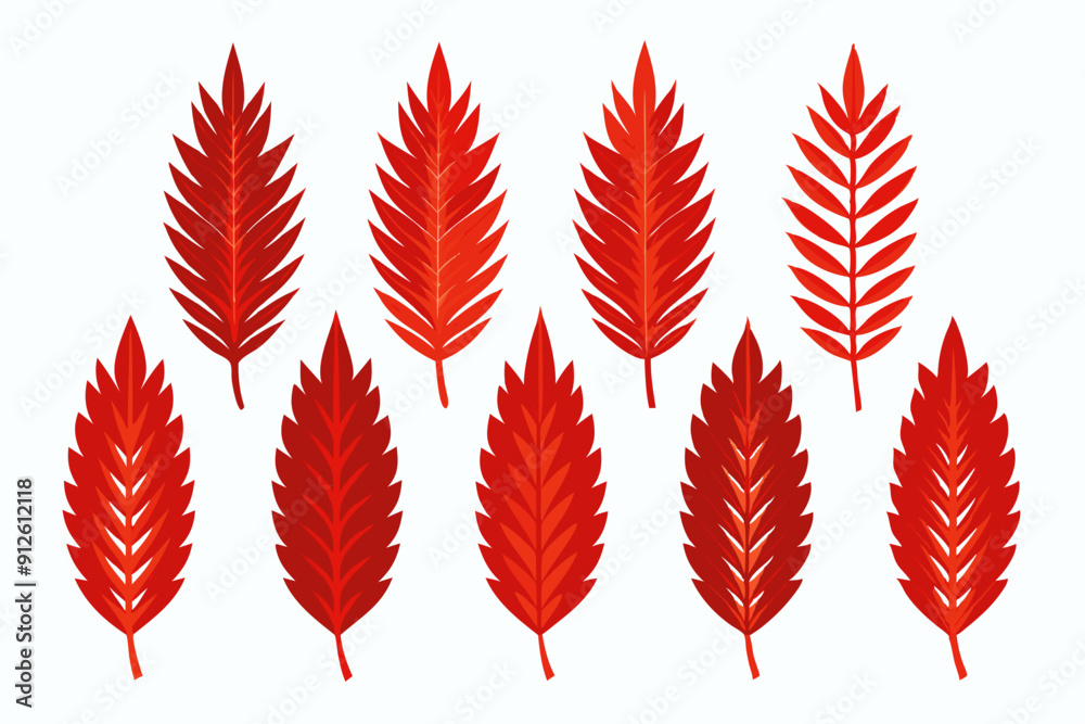 Set of 9pes different type of Western Red Cedar leaf art vector ...