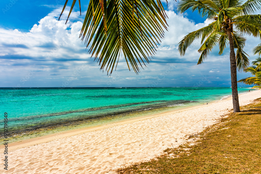 Palm trees on the tropical Le Morne beach, Mauritius. Tropical vacation ...