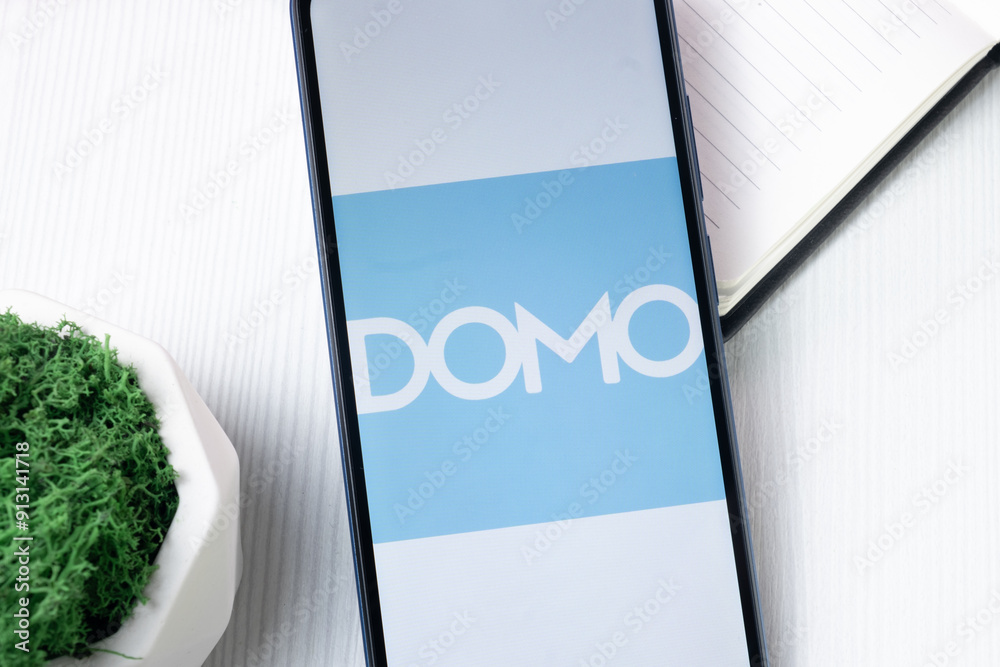 New York, USA - 1 August 2024: Domo Logo on Phone Screen, Icon on ...