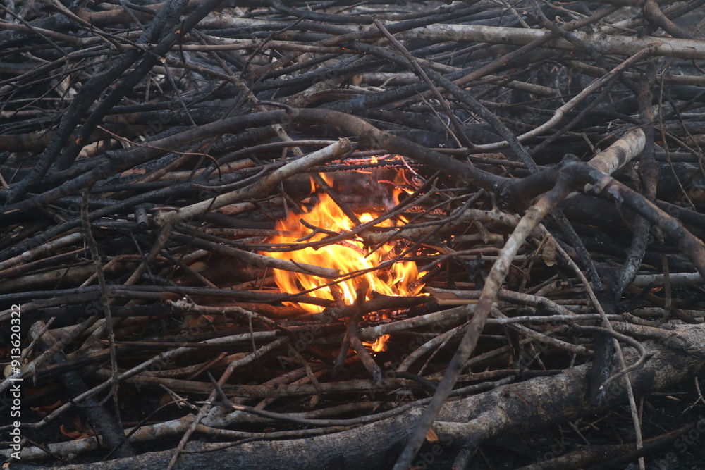 the forest is burning. burning. extinguishing forest fires due to ...