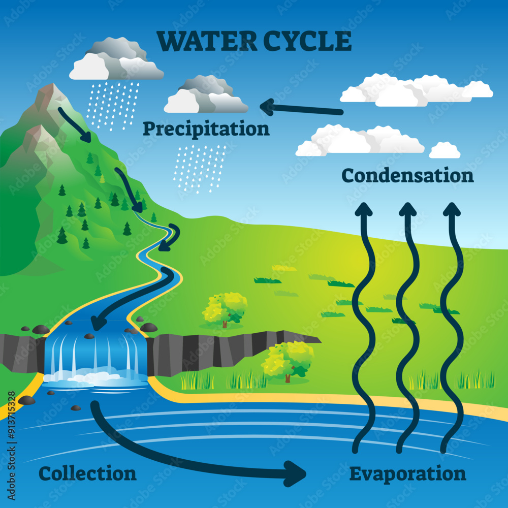 Water cycle illustration. Labeled earth hydrologic process explanation ...