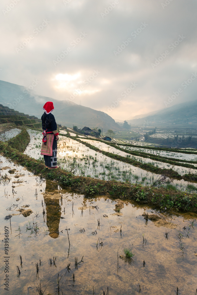 Woman wearing traditional clothes from Red Dao tribe at the rice field ...