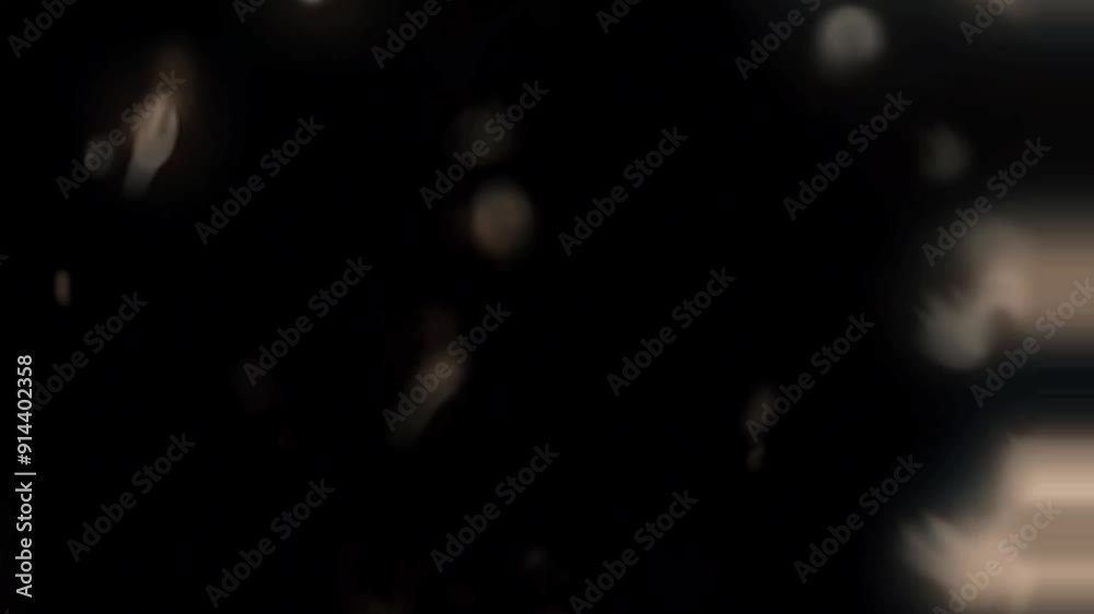 Tree Shade Sunlight Under Tree Sky Light Overlay Video Effect on Black ...