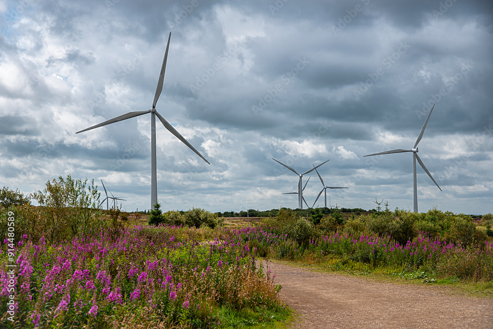 Landscape photography of wind turbines, windmill, wind power, power ...
