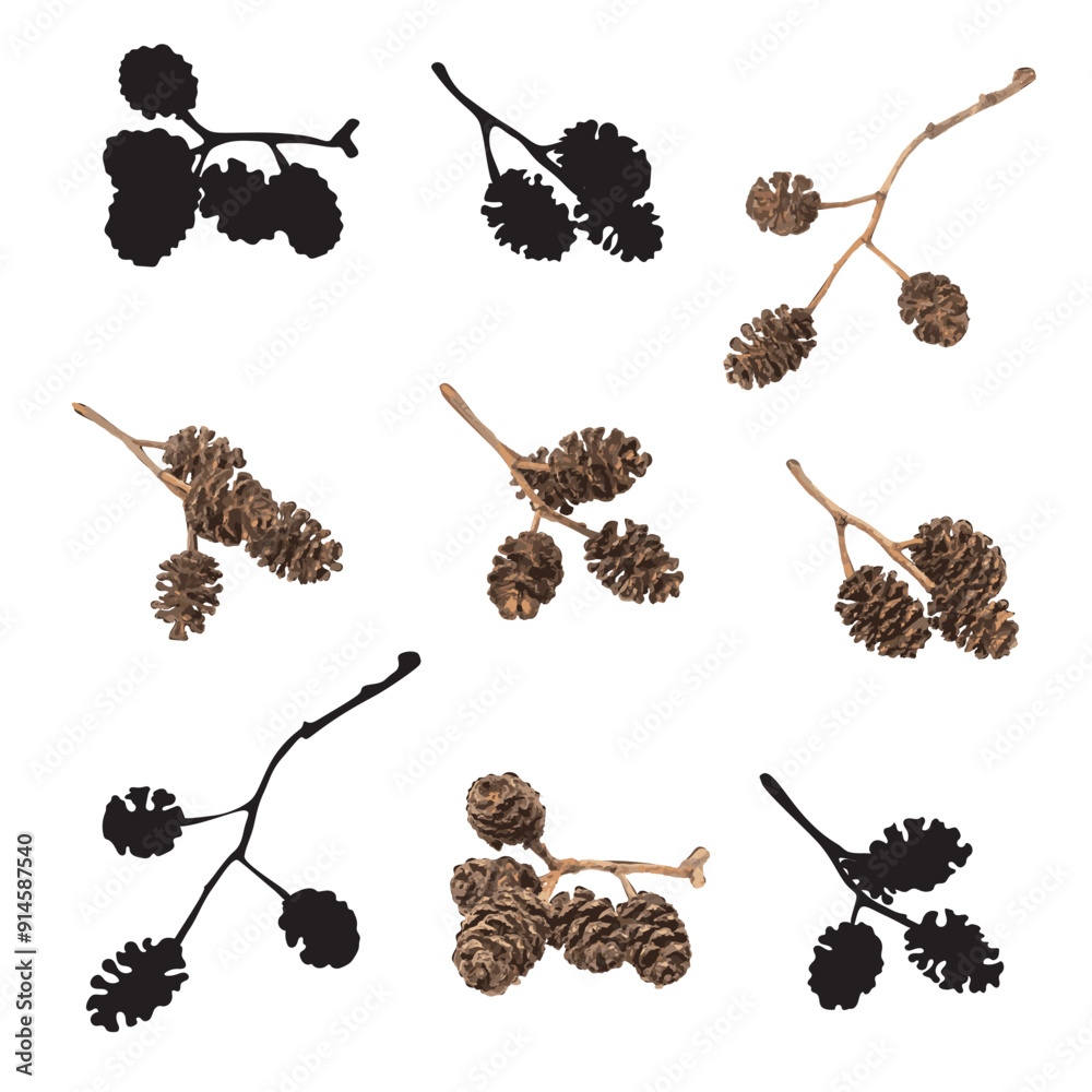 Alder Cones Icon, Alnus Cone Symbol, Dry Plant Branch Sign, Dry Alder ...