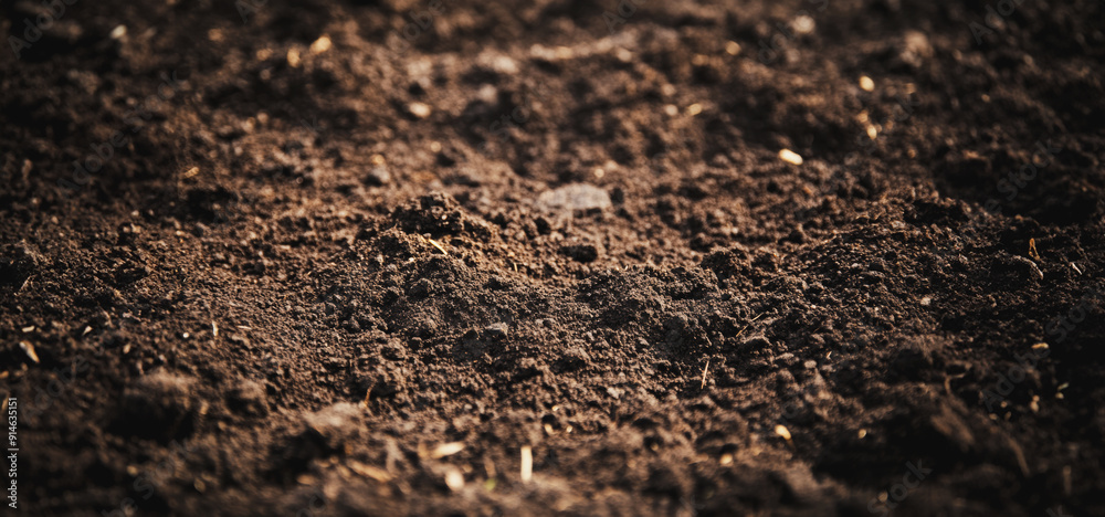 Rich Dark Soil Detailed Close-Up Revealing Textures and Nutrients in an ...