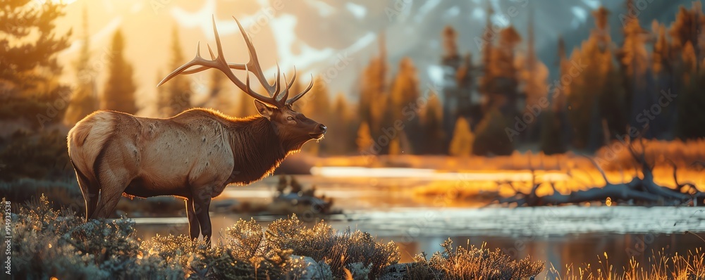 Examining the role of keystone species in ecosystem stability, fauna ...