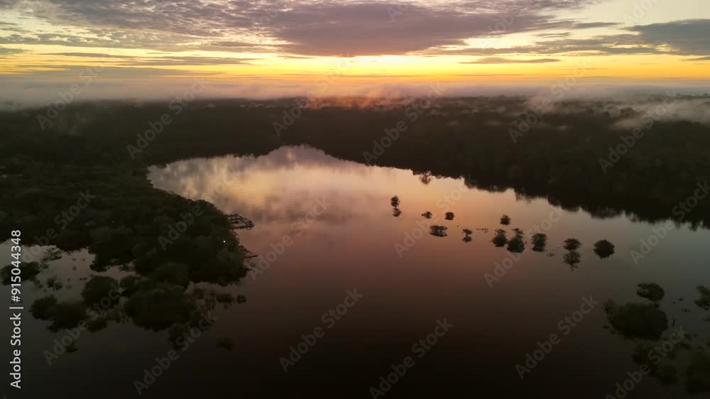 Drone zooms over the Amazon jungle and river, capturing breathtaking ...