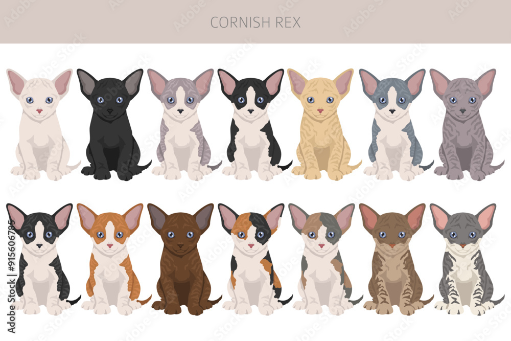 Cornish Rex Cat clipart. All coat colors set. All cat breeds ...
