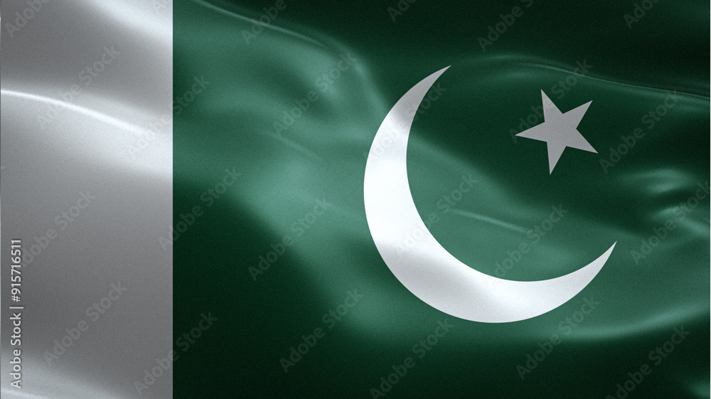 official Pakistan Flag Standard color. Standard size digital ...
