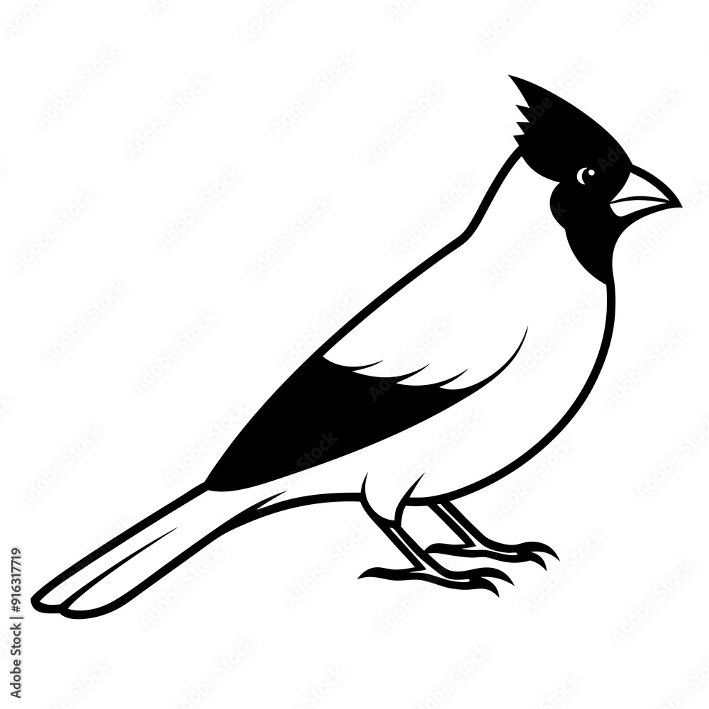 Cardinal head isolated on white background, Cardinal vector ...