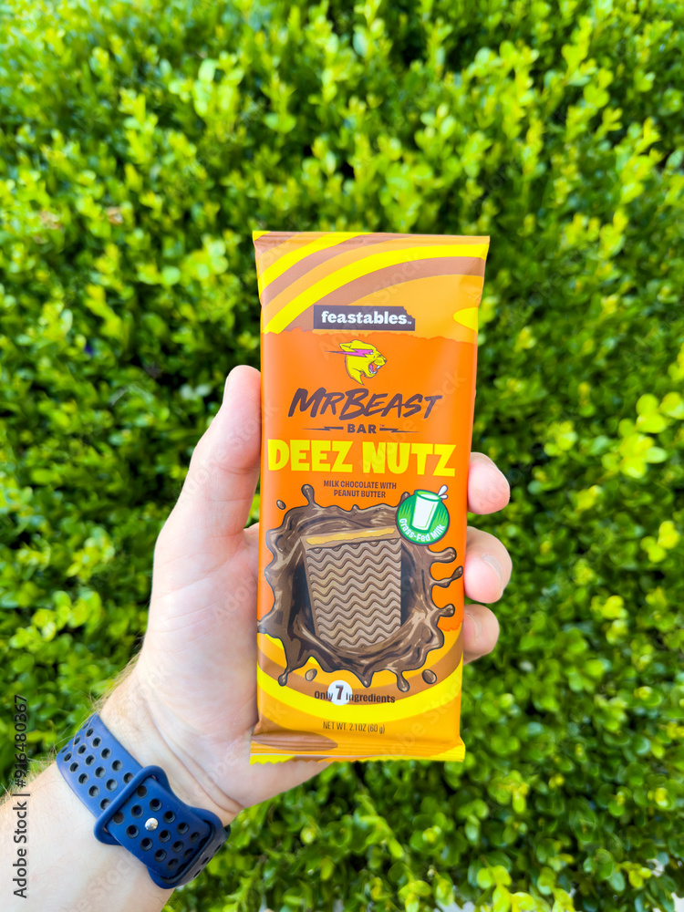 Mr. Beast Feastables Deez Nutz chocolate bar by famous YouTuber Jimmy ...