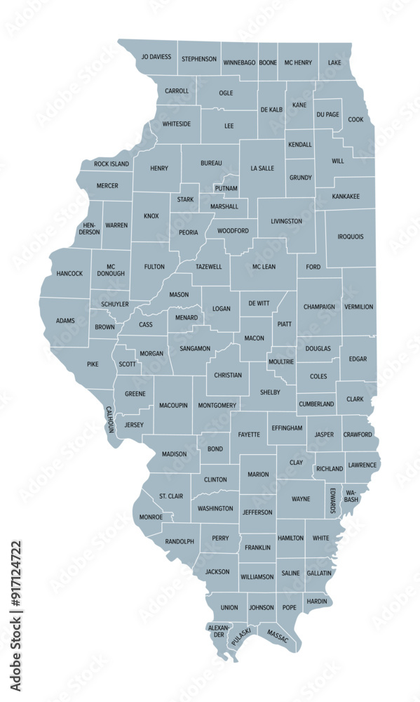 Illinois, U.S. state subdivided into 102 counties, gray political map ...